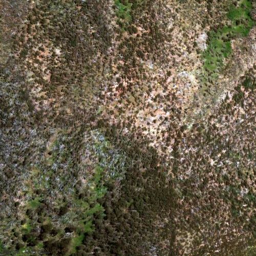 1500 metres elevation : Scribble Maps