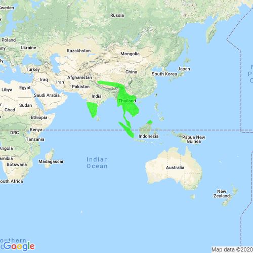 Indian Elephant Habitat Map