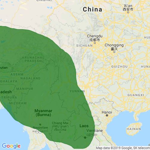 Old East Asia Map Himalayan Mountains