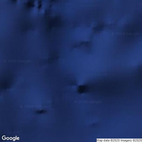 Hot Plants : Scribble Maps